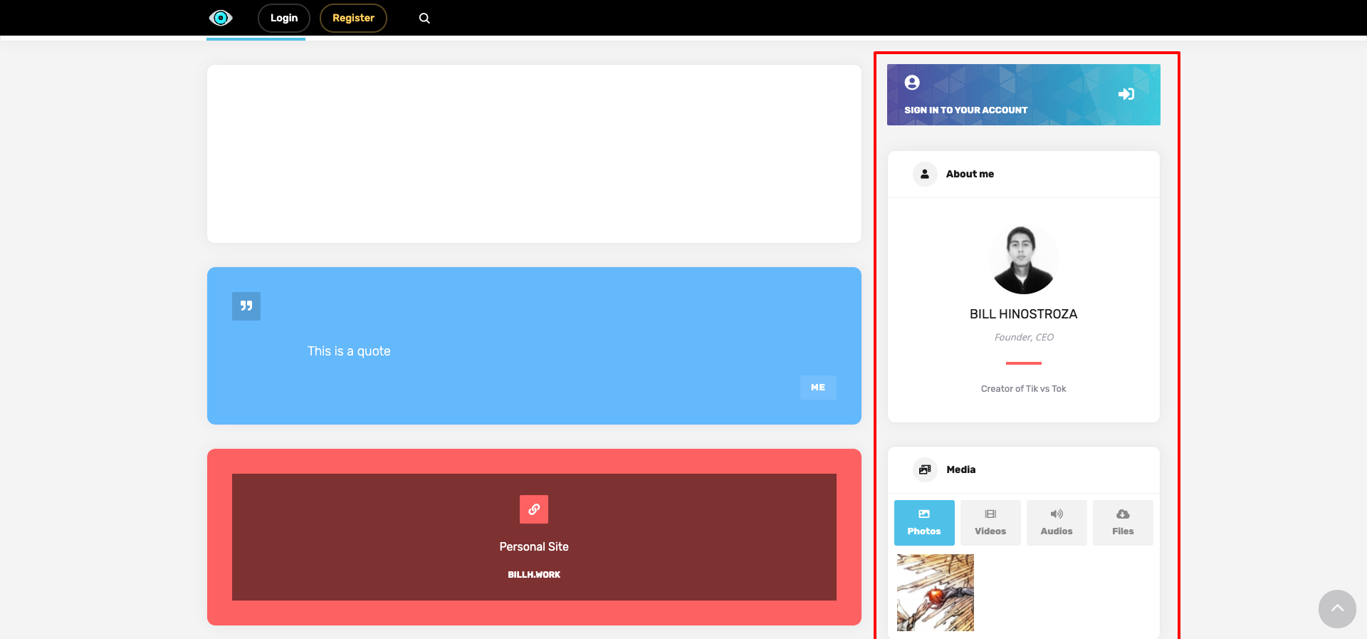 Missing Sidebar widgets in profile pages • Themosaurus Support